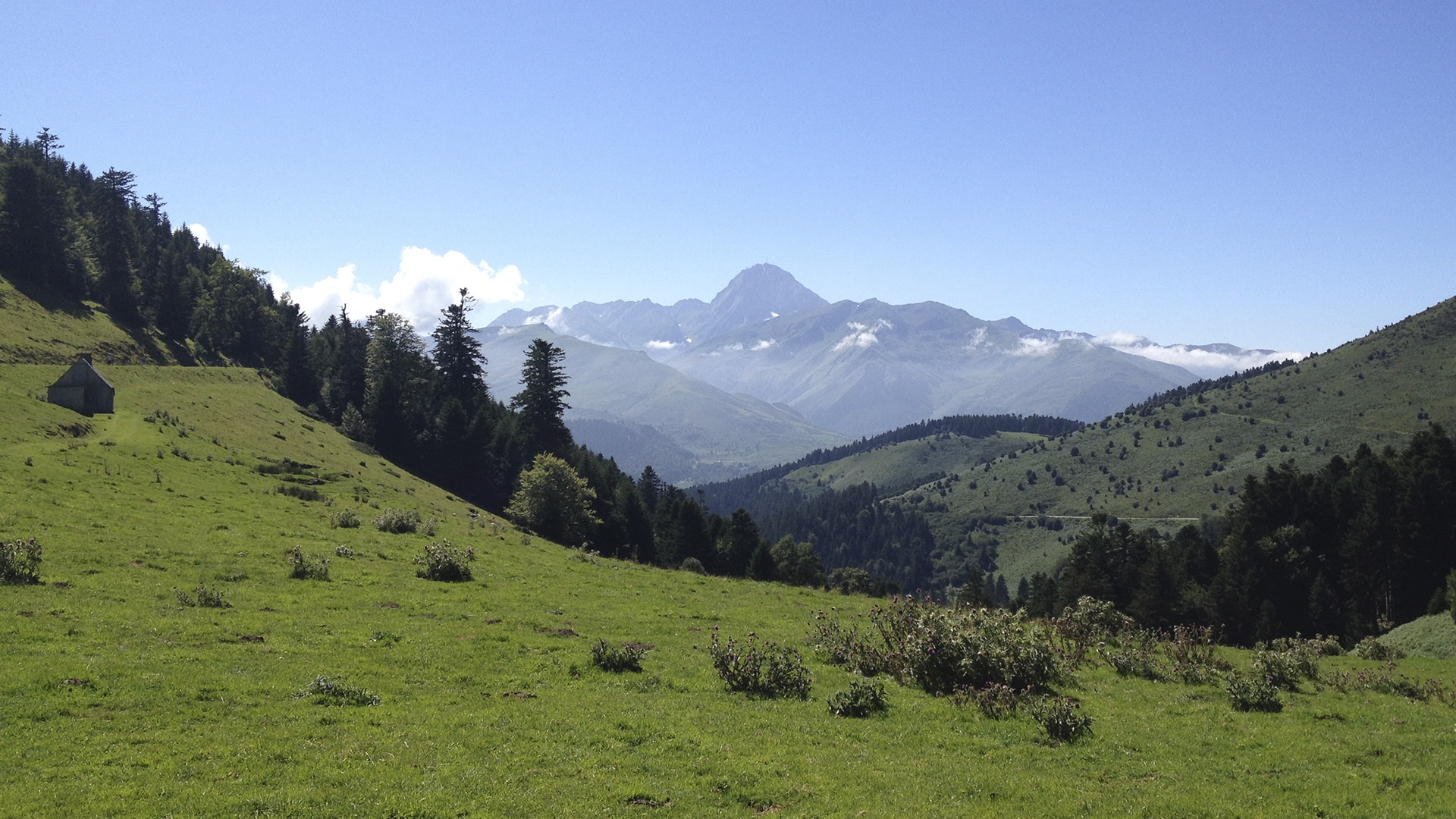 COL D'ASPIN VERSANT EST ~ Les Pyrénées à Vélo